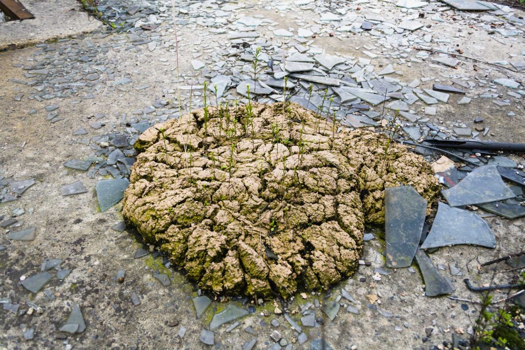 Mandelli – Abandoned Steel Mill – Collegno, Italy